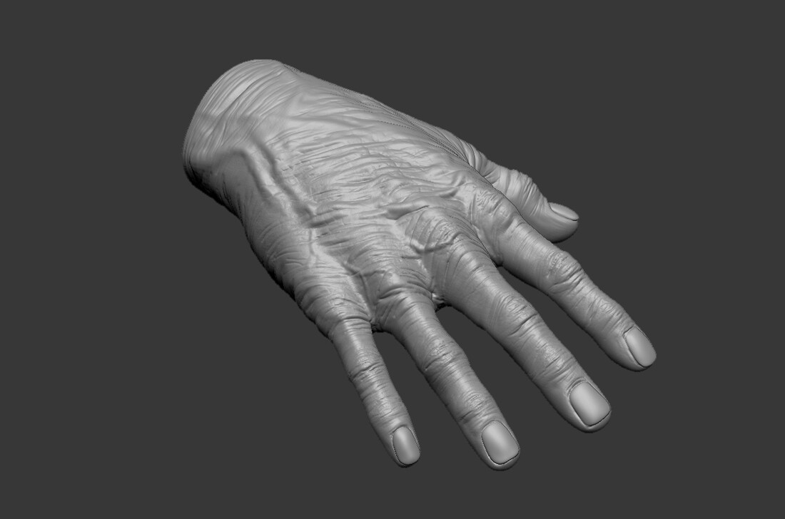 ArtStation - Old Human Hand 3D model | Resources