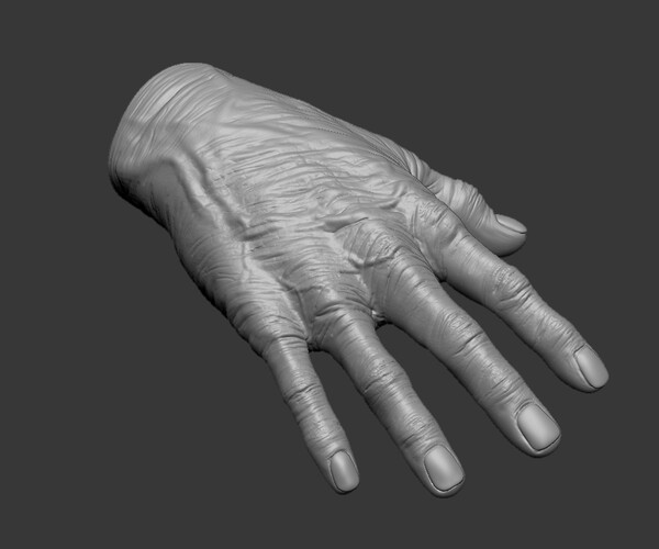 ArtStation - Old Human Hand 3D model | Resources