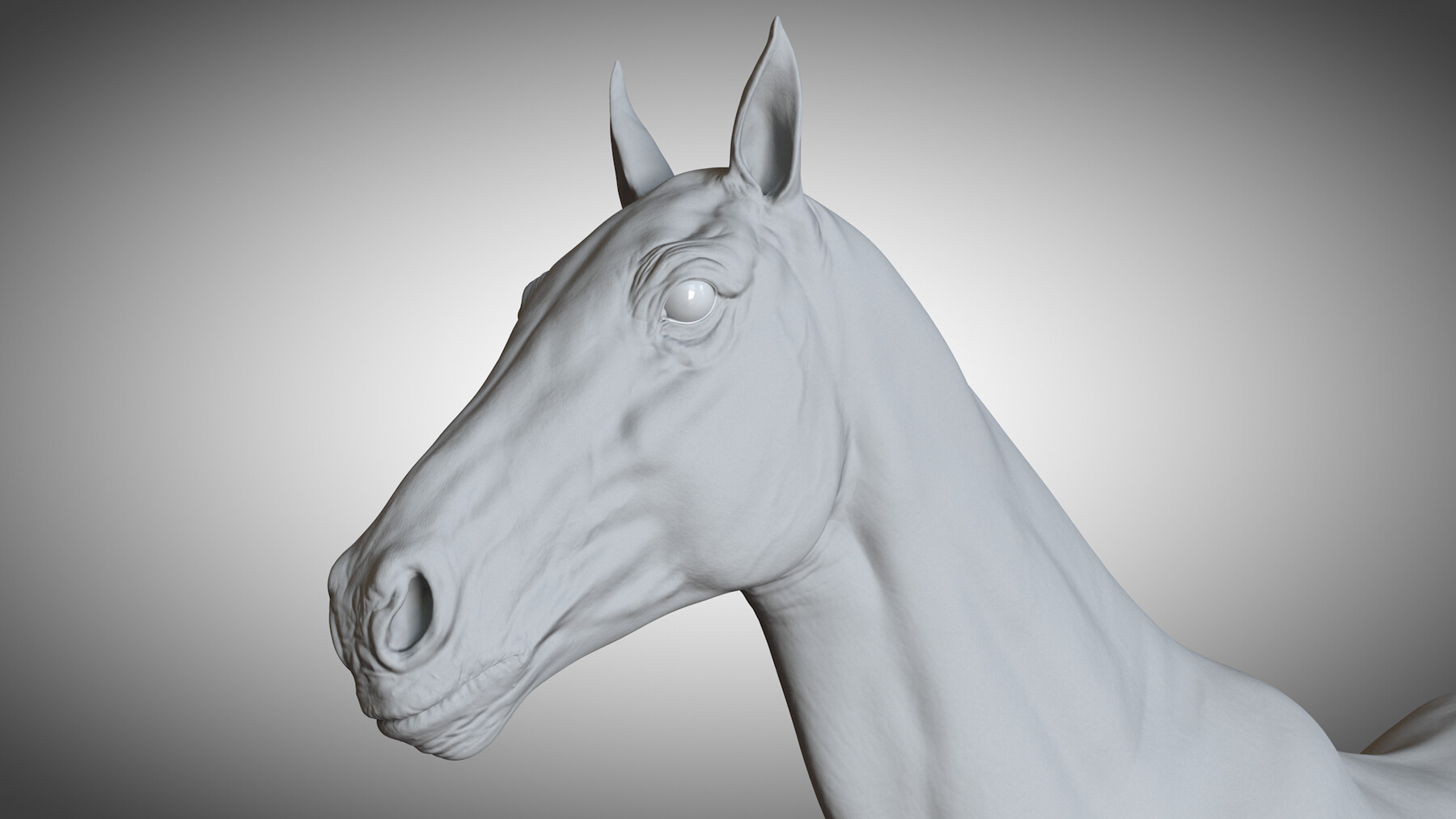 ArtStation - Stallion - Rigged & Animated Horse | Resources