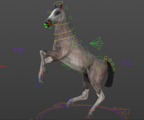 ArtStation - Stallion - Rigged & Animated Horse | Resources