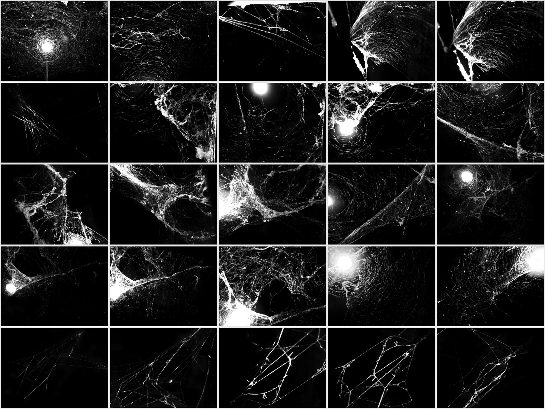 ArtStation - Spider Webs cobwebs - reference images pack | Resources