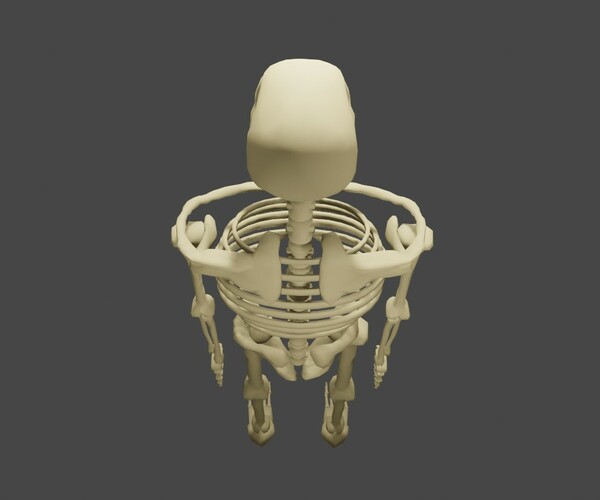 ArtStation - Basic Skeleton - Skull - Esqueleto 3D model | Game Assets