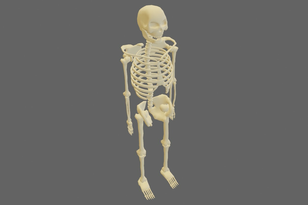 ArtStation - Basic Skeleton - Skull - Esqueleto 3D model | Game Assets
