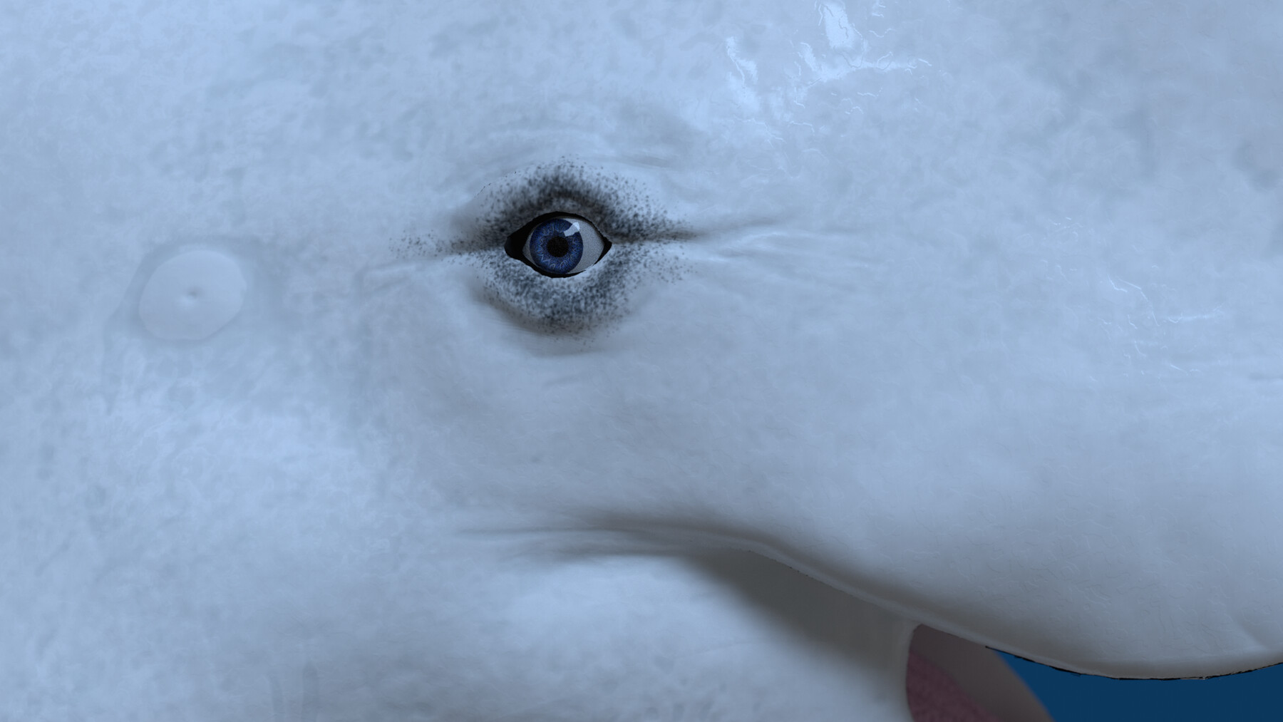 ArtStation - Beluga Whale - Rigged - PBR | Game Assets