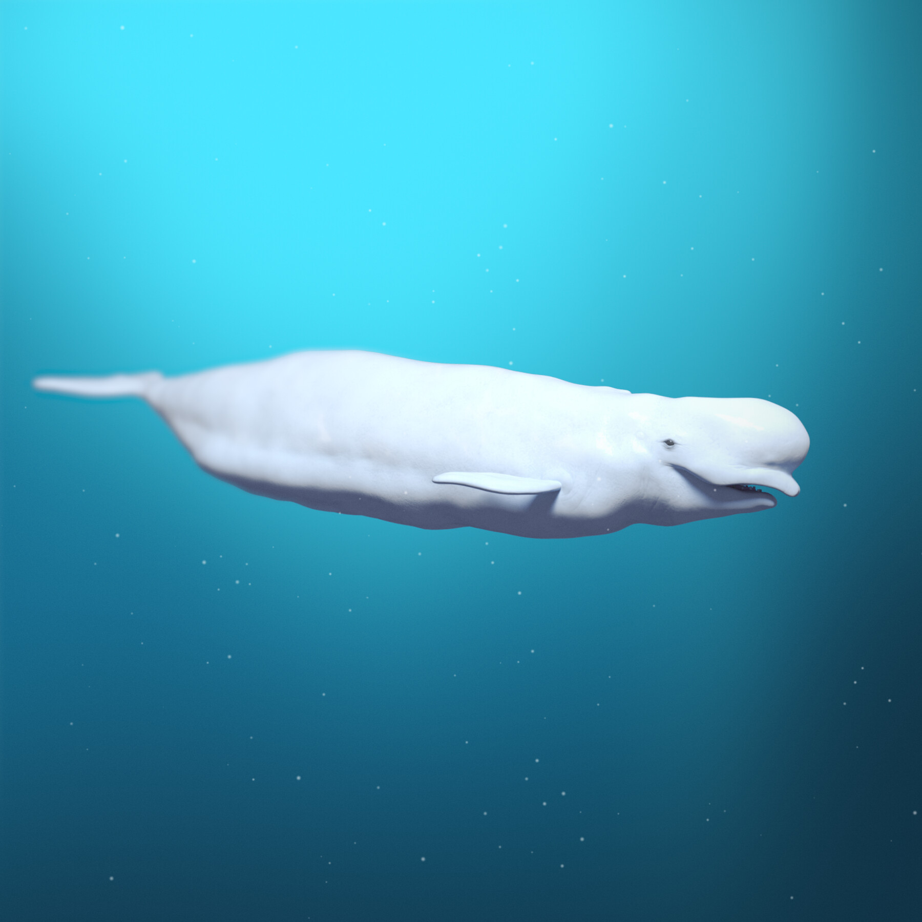 ArtStation - Beluga Whale - Rigged - PBR | Game Assets