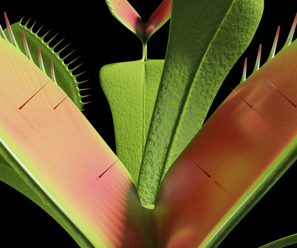ArtStation - 3D Venus flytrap | Resources