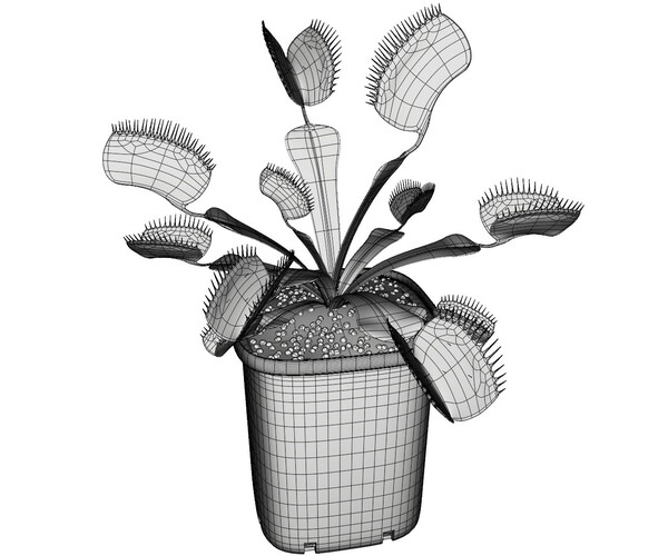 ArtStation - 3D Venus flytrap | Resources