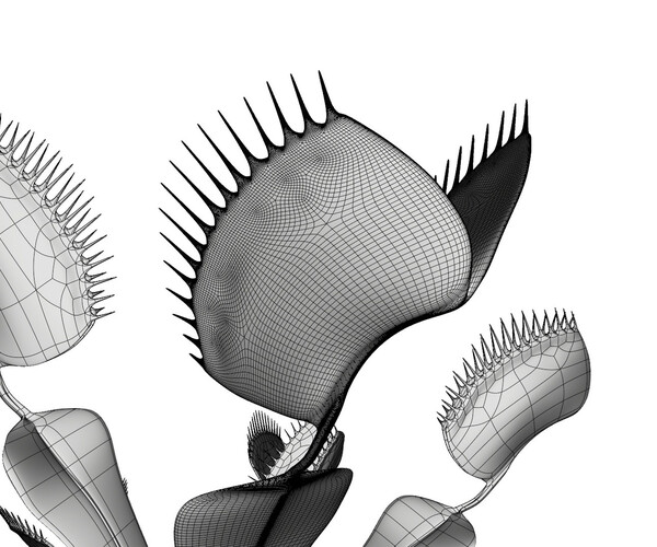 ArtStation - 3D Venus flytrap | Resources