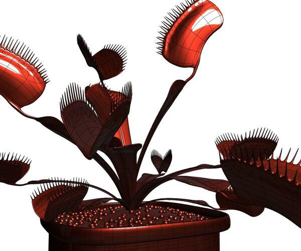 ArtStation - 3D Venus flytrap | Resources