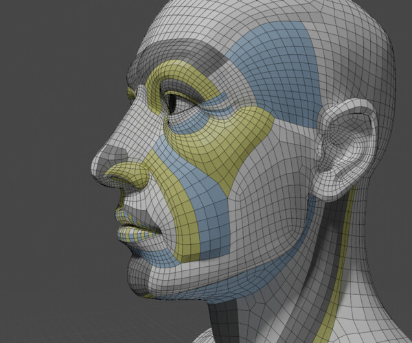 ArtStation - Generic head with anatomically based-topology | Resources