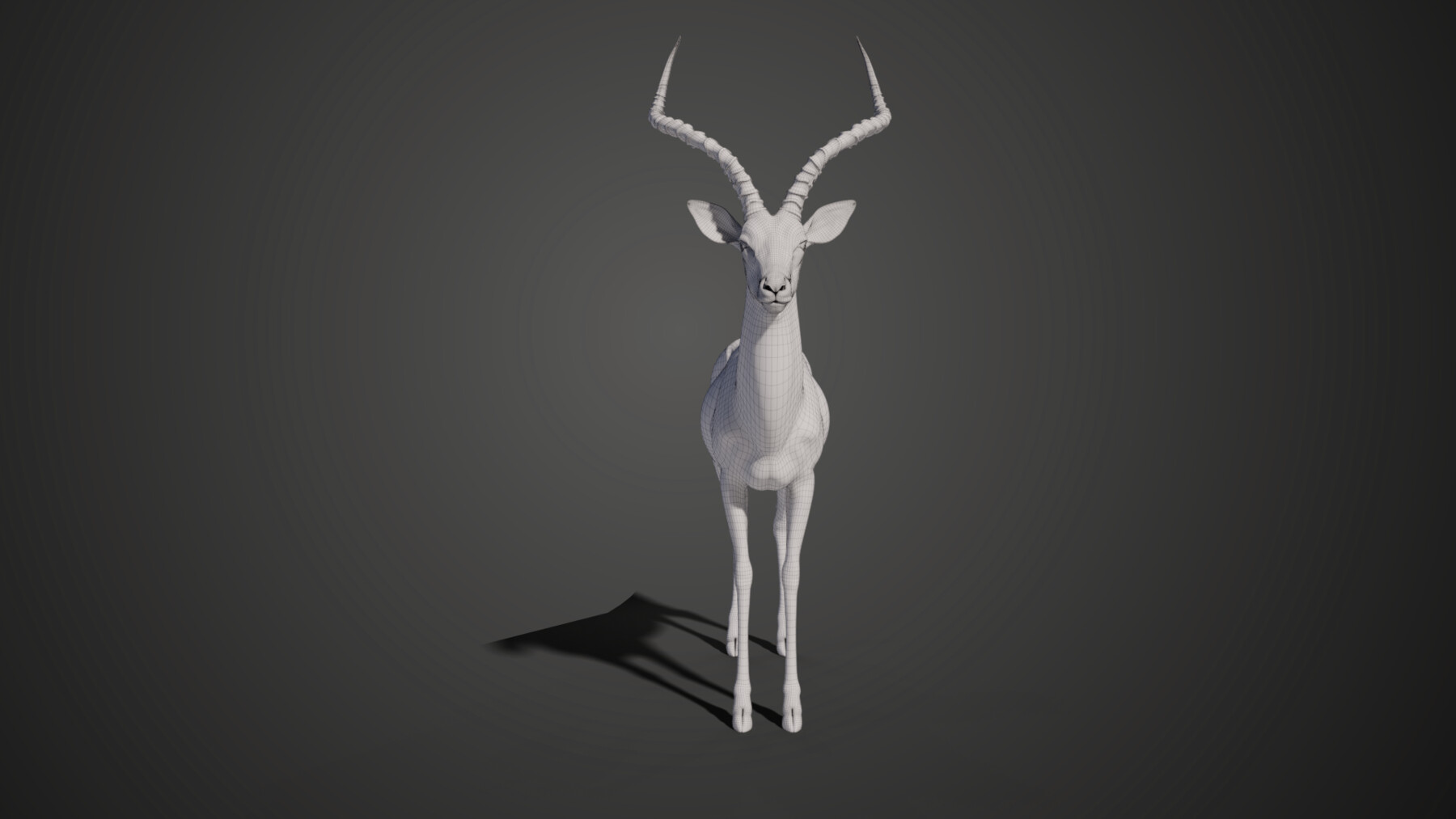 ArtStation - 3D Animal | Impala Animated | Resources