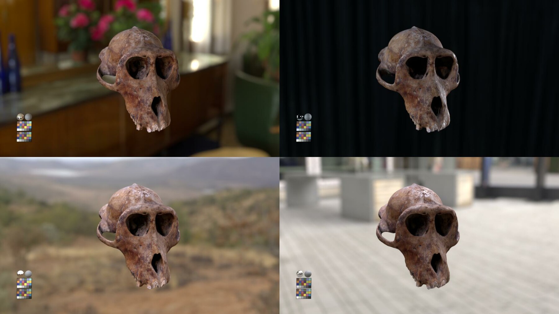 ArtStation - Monkey Skull - 3D Scan with Textures & LODS | Resources