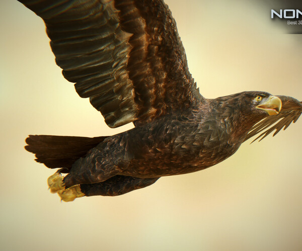 ArtStation - Eagles Pack v3 Unity | Game Assets