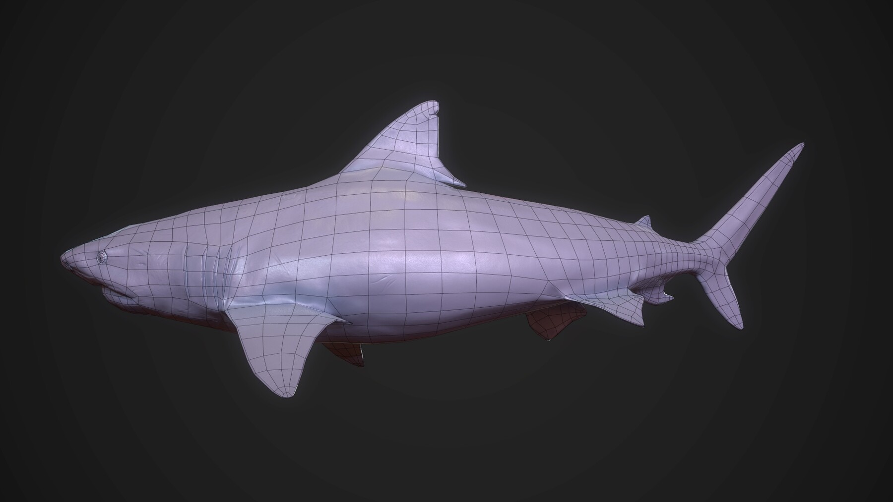 ArtStation - Tiger Shark | Game Assets
