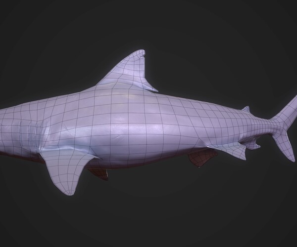 ArtStation - Tiger Shark | Game Assets