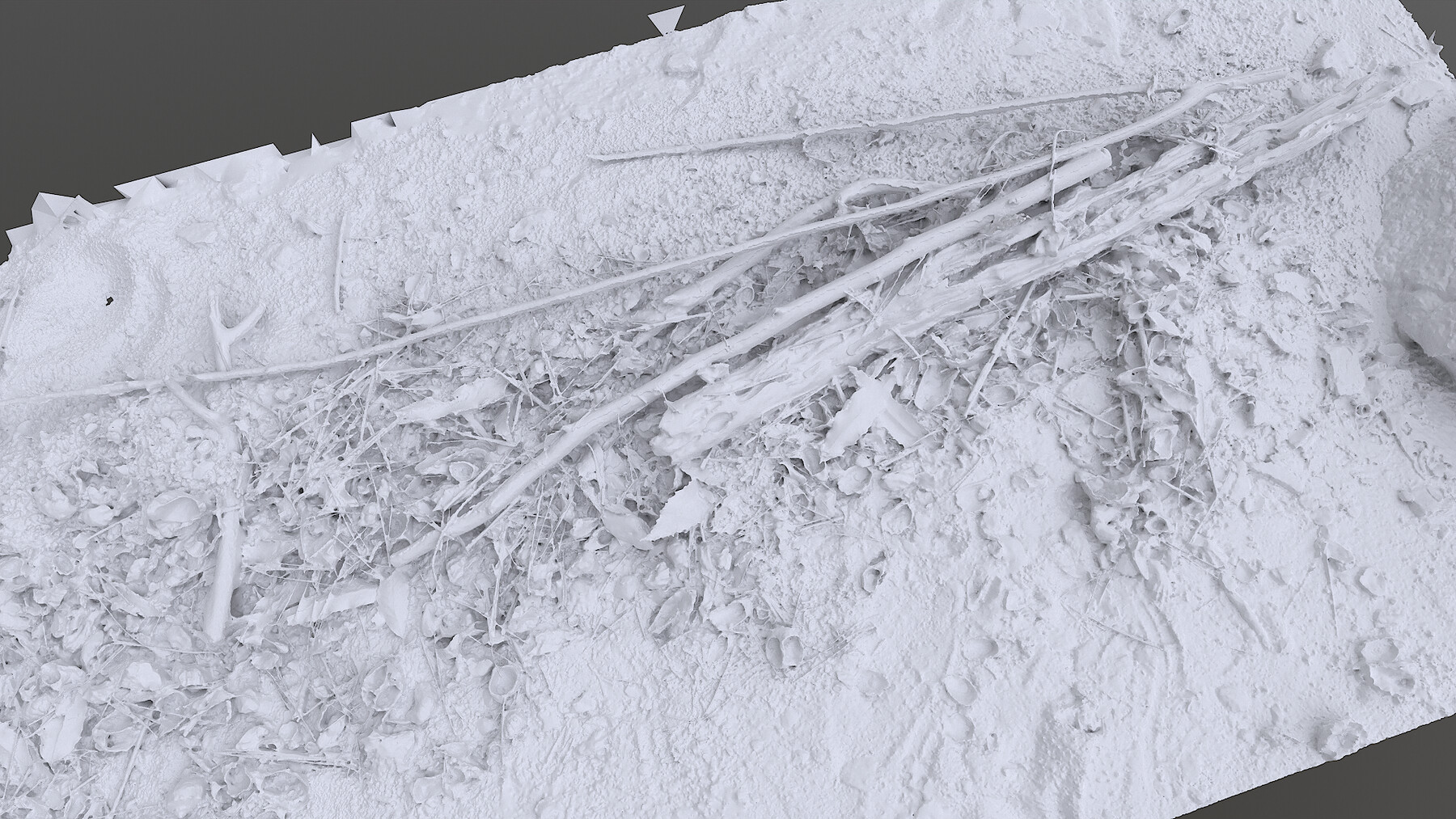 ArtStation - Photoscan_OBJ_0072_only HighPoly Mesh (16K Texture) | Game ...