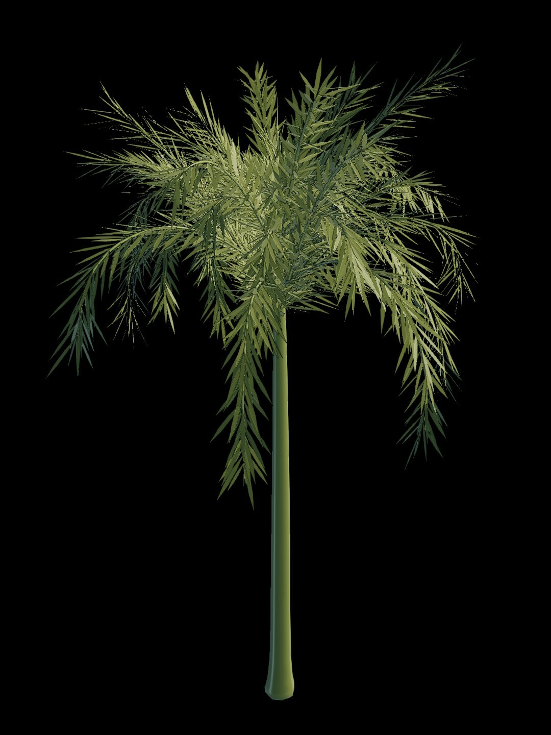 ArtStation - Palm Tree Animated and Rigged Low-poly 3D model | Resources