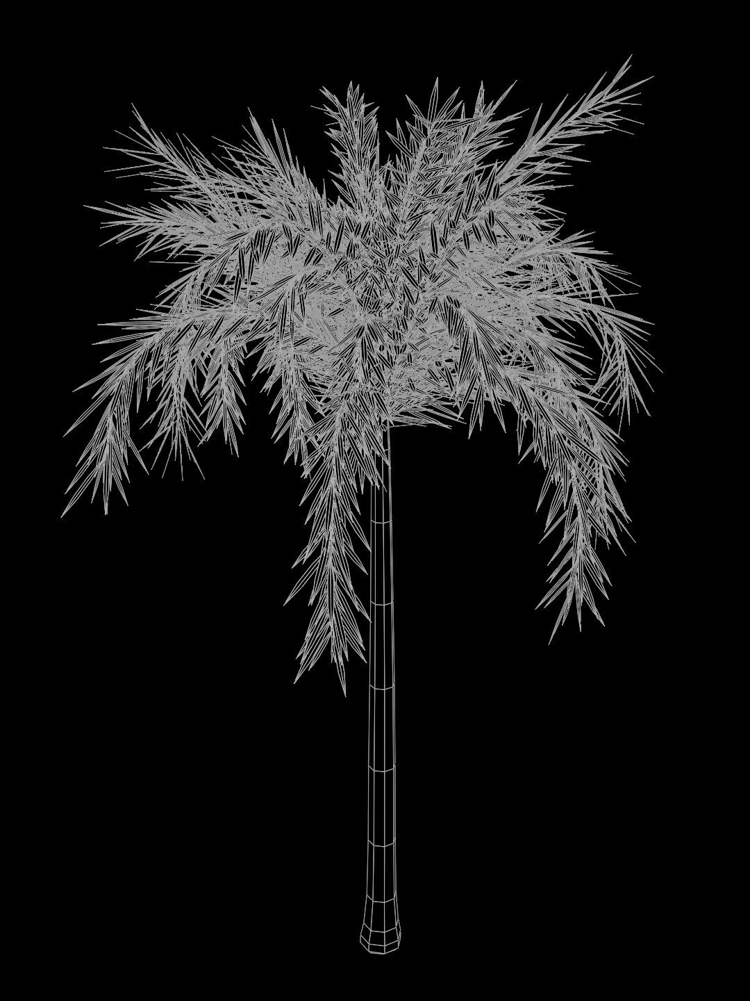 ArtStation - Palm Tree Animated and Rigged Low-poly 3D model | Resources