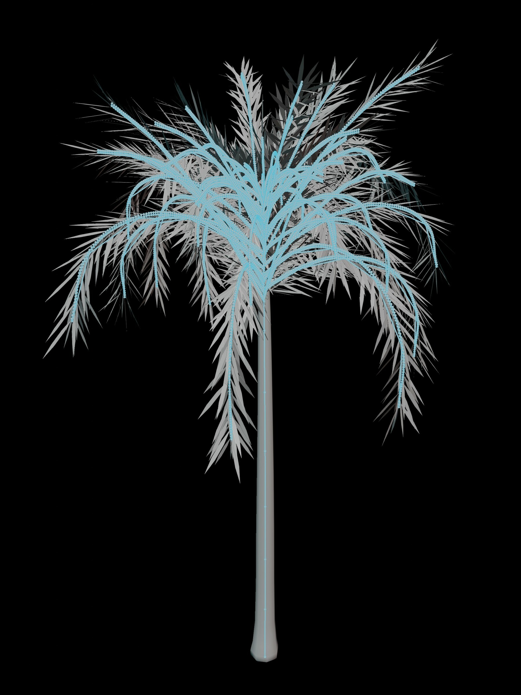 ArtStation - Palm Tree Animated and Rigged Low-poly 3D model | Resources