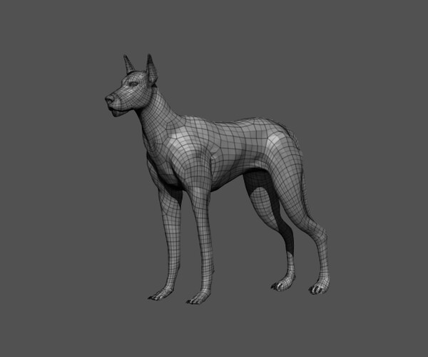 ArtStation - Doberman Dog Base Mesh | Resources