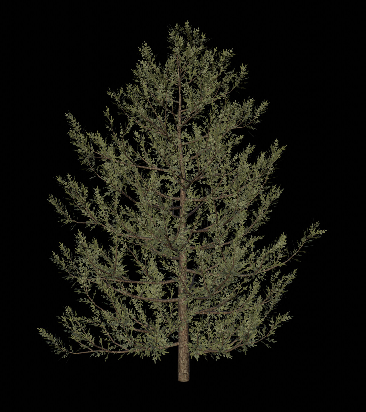 ArtStation - Spruce Tree Animated and Rigged 3D model | Resources