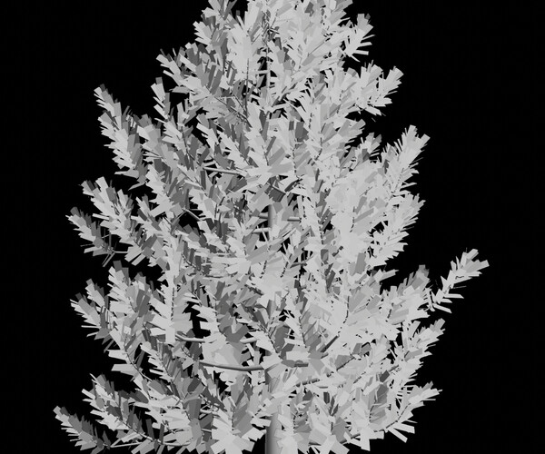 ArtStation - Spruce Tree Animated and Rigged 3D model | Resources