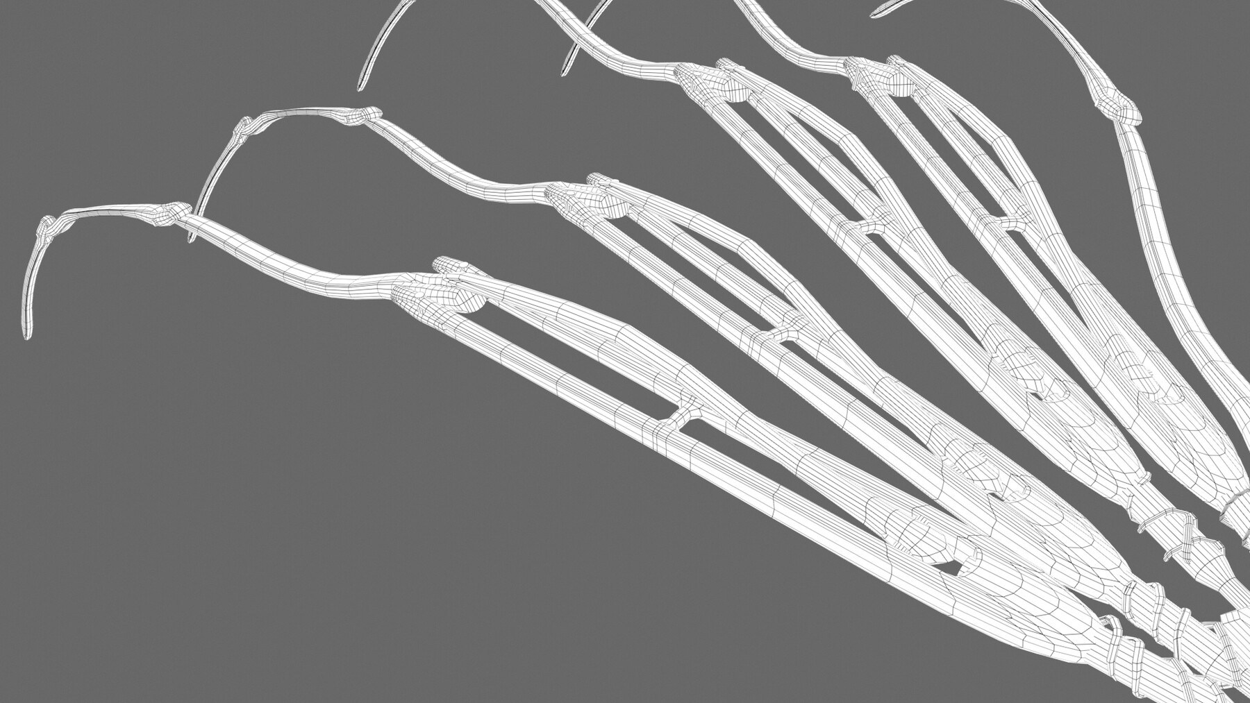 Coraline Other Mother Hand