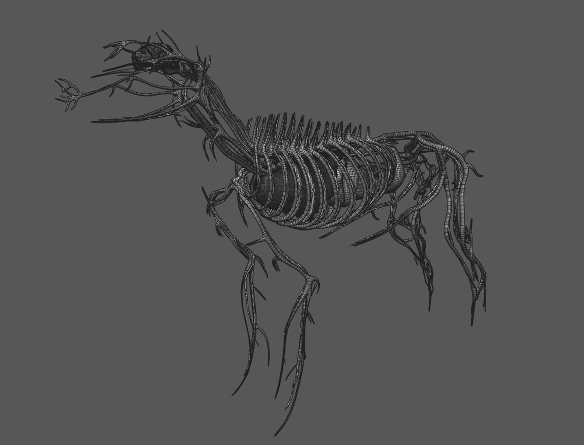 ArtStation - Dog Anatomy with internal organs - 4k textures 3D model ...