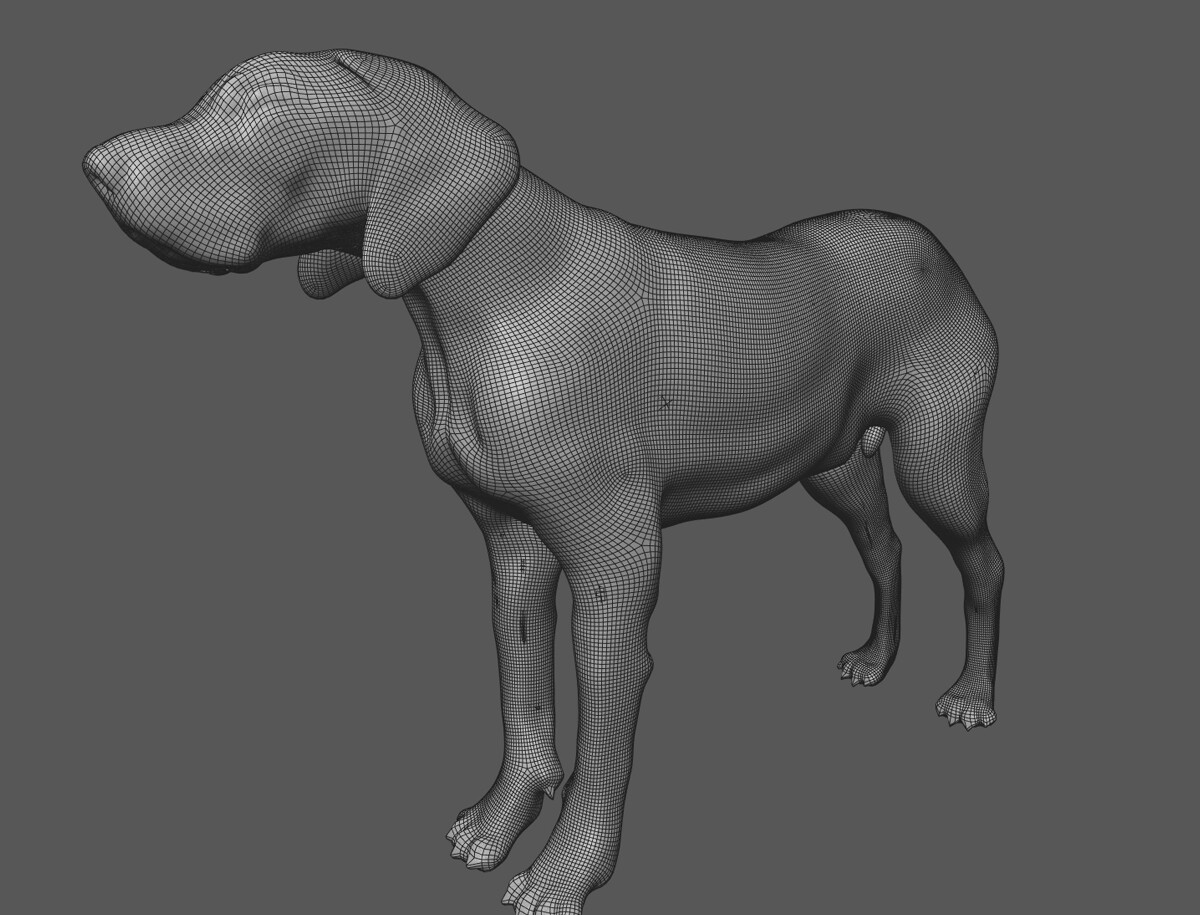 ArtStation - Dog Anatomy with internal organs - 4k textures 3D model ...