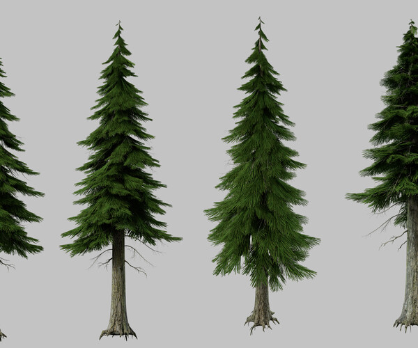 ArtStation - Pine Tree | Resources