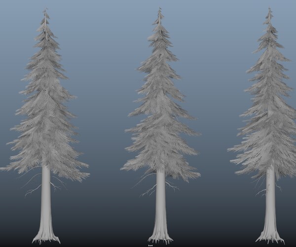 ArtStation - Pine Tree | Resources