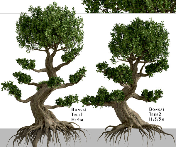 ArtStation - Set of Bonsai Trees (2 Trees) | Resources