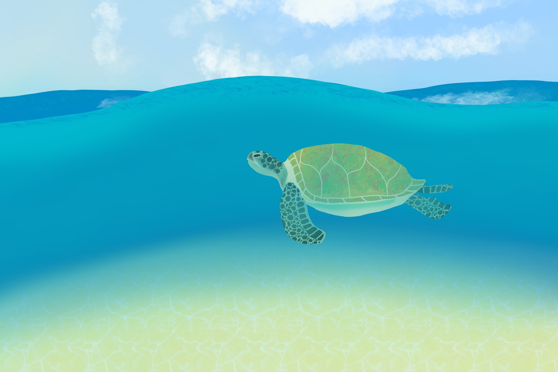 ArtStation - Sea turtle digital painting | Artworks