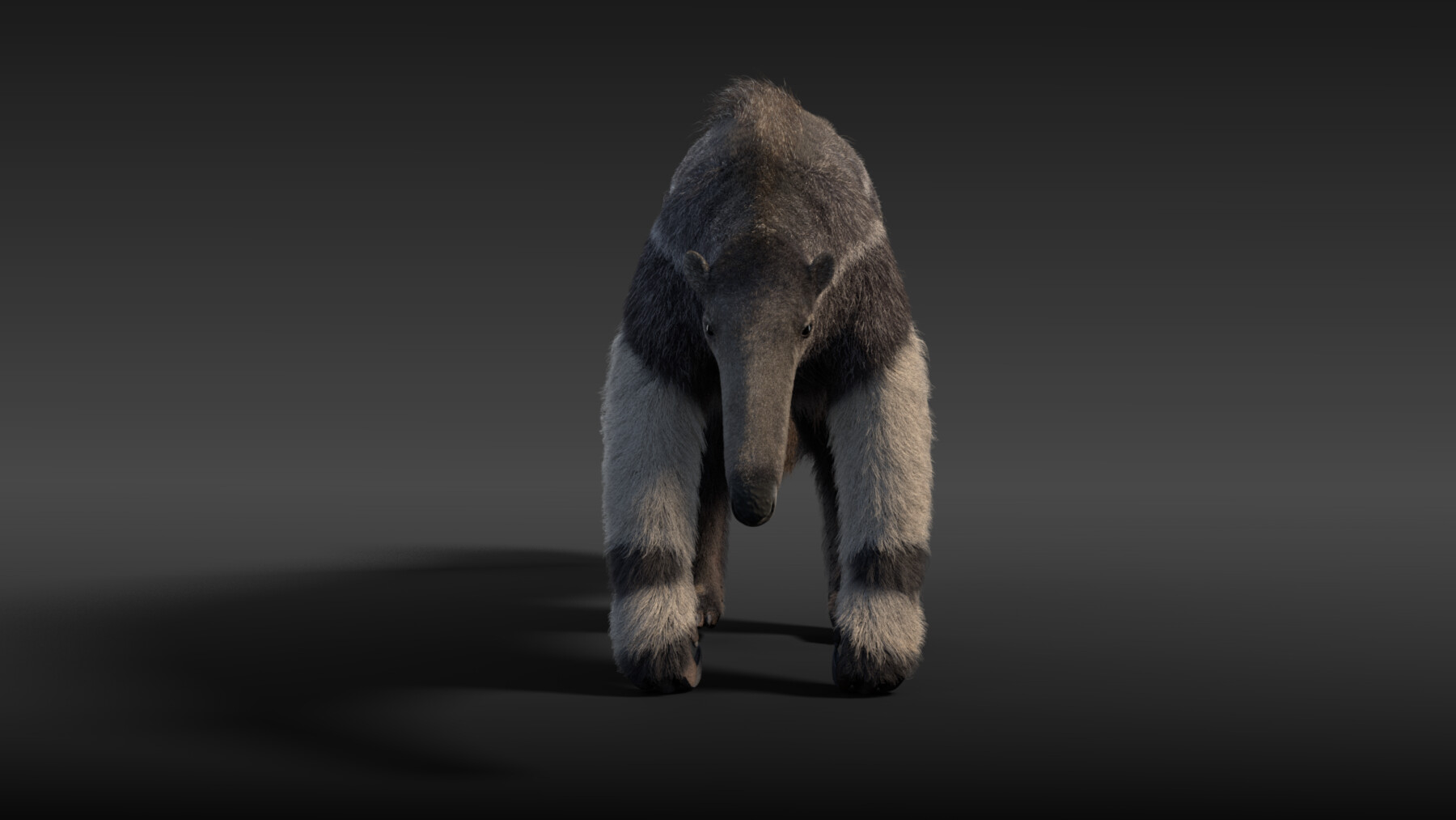 ArtStation - 3D Animal | Giant Anteater Animated | Resources