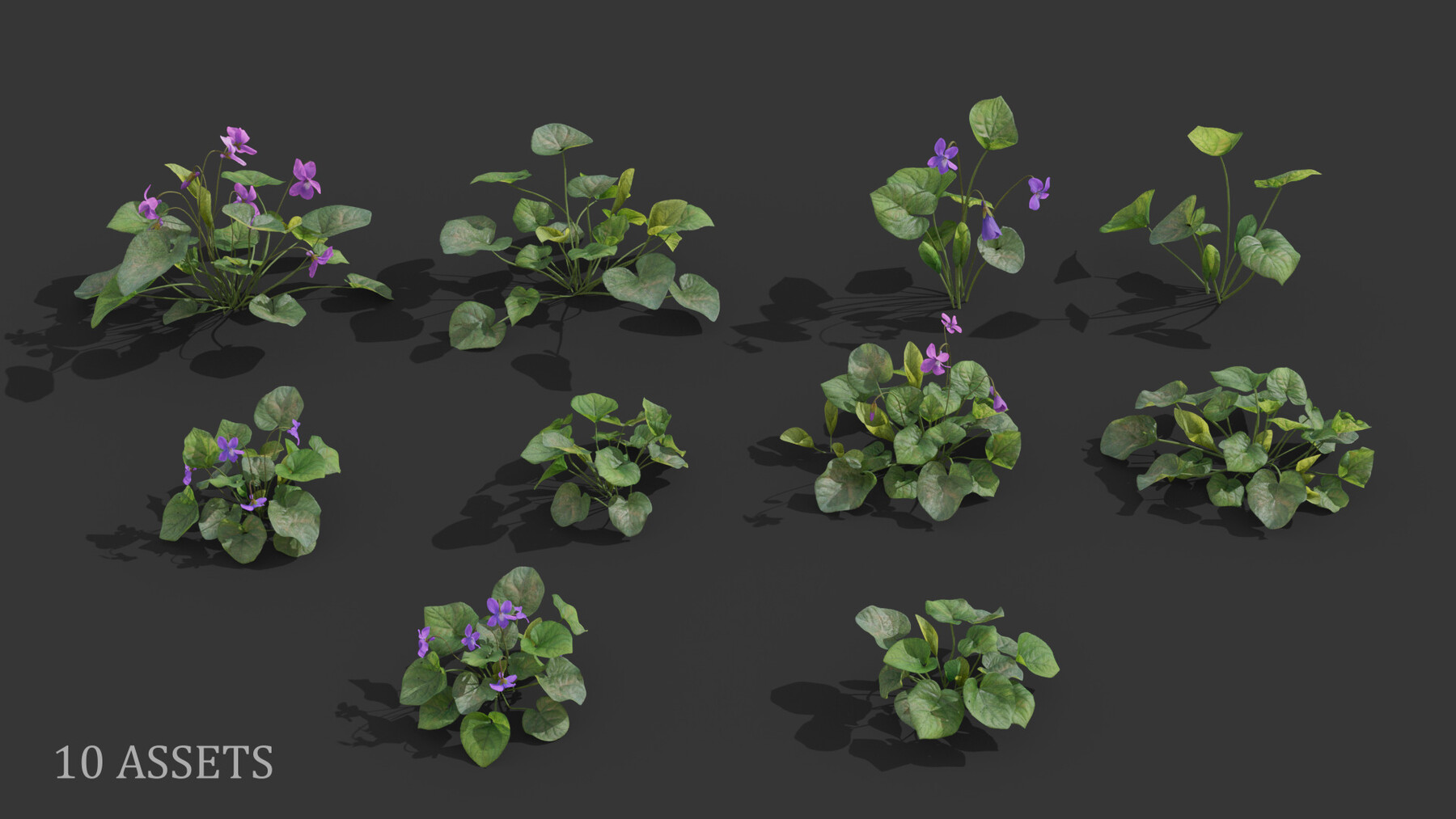 ArtStation - 3D Flower | Sweet Violet | Resources