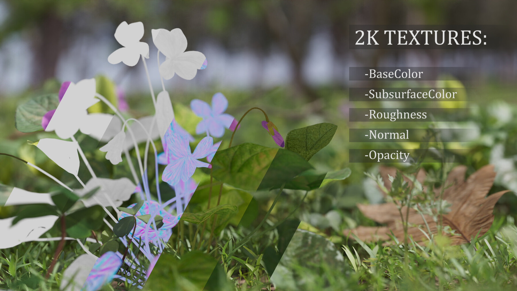 ArtStation - 3D Flower | Sweet Violet | Resources