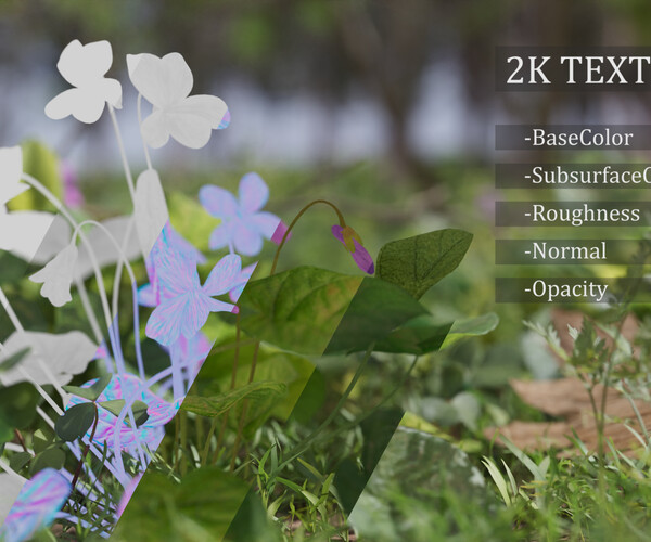ArtStation - 3D Flower | Sweet Violet | Resources