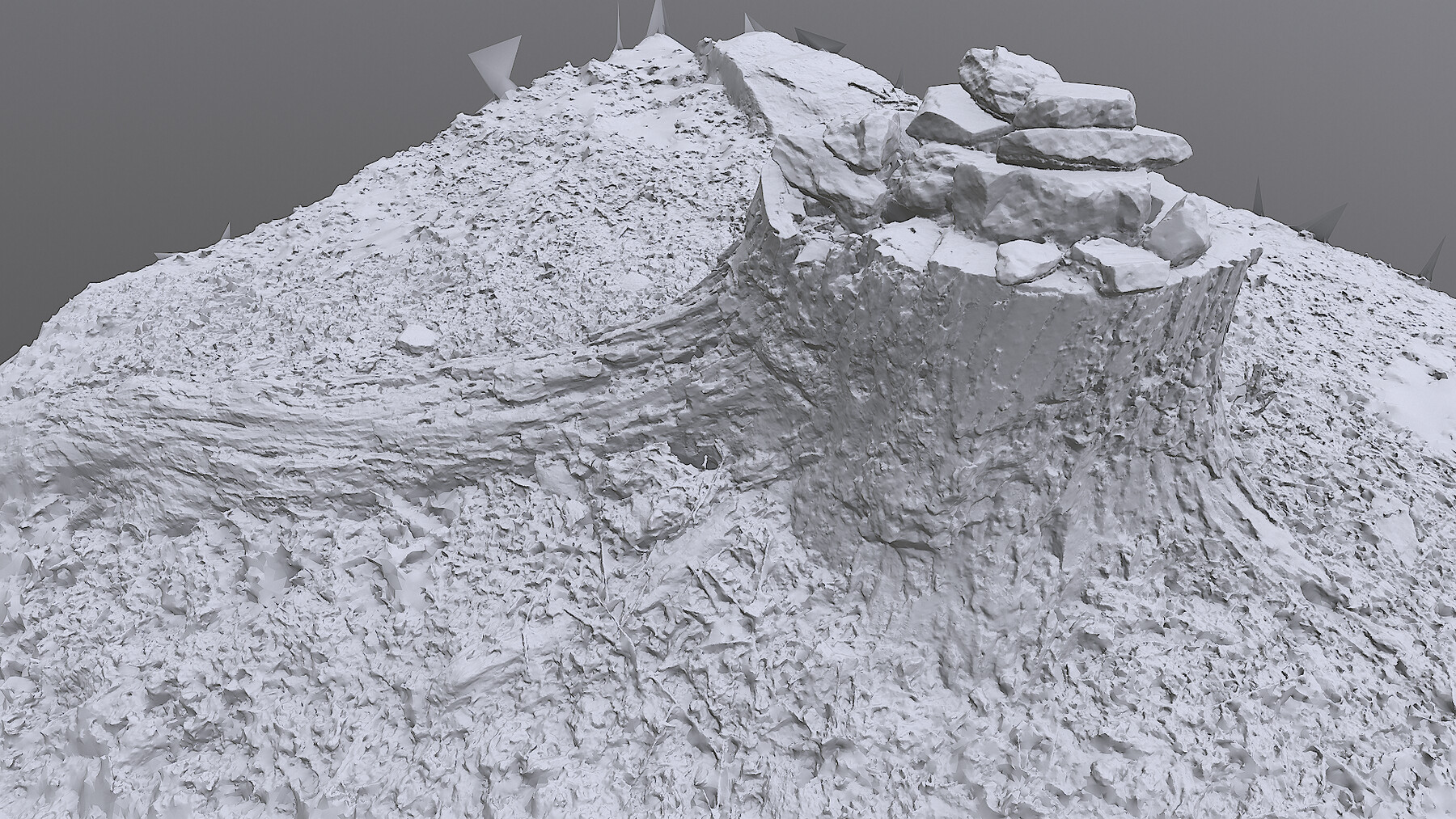 ArtStation - Photoscan_OBJ_0085_only HighPoly Mesh (16K Texture) | Game ...