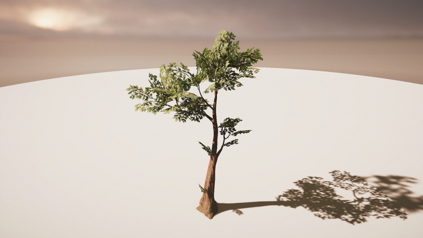 ArtStation - Jungle Tree | Game Assets