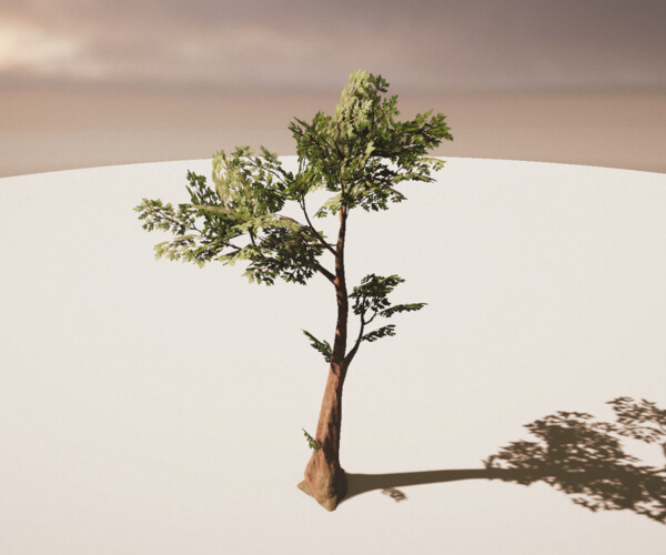 ArtStation - Jungle Tree | Game Assets