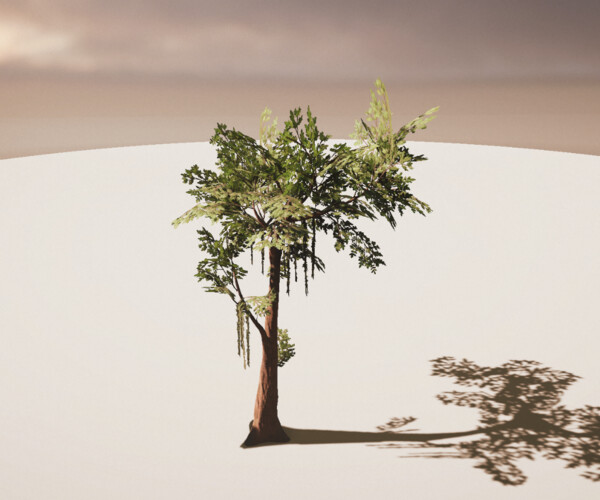 ArtStation - Jungle Tree | Game Assets