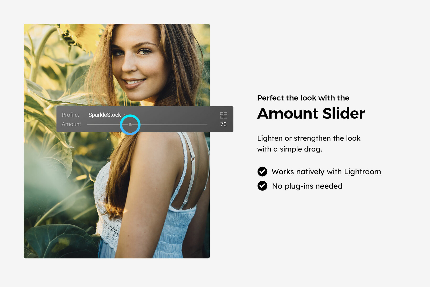 ArtStation - 20 Sunflower LUTs and Lightroom Presets | Resources