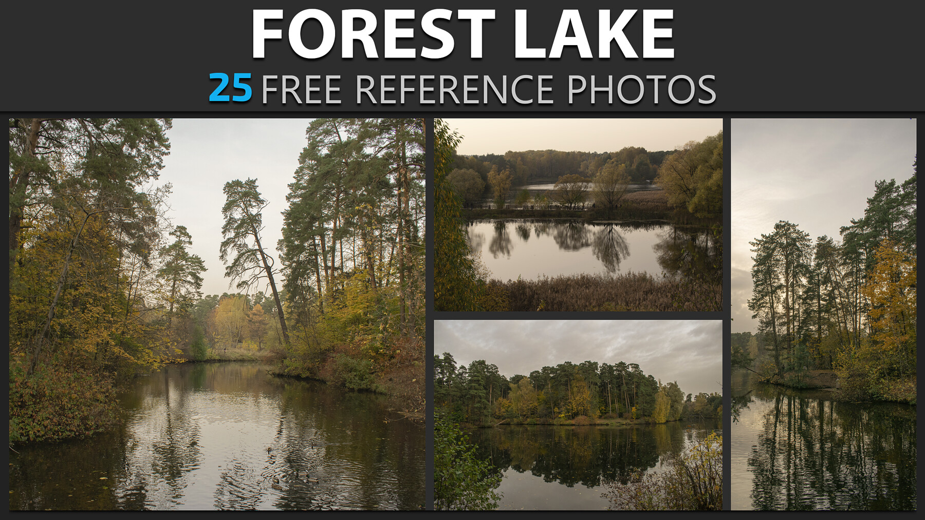 ArtStation - Forest Lake - Free Reference Pack | Resources
