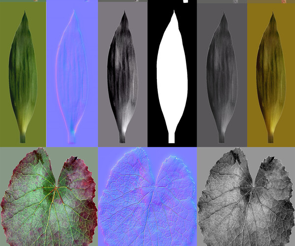 ArtStation - 16 HIGH QUALITY LEAVES ALBEDO/NORMAL/SUBSURFACE/GLISSINEES ...