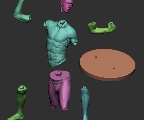 ArtStation - Realistic anatomy 3D print ready | Resources
