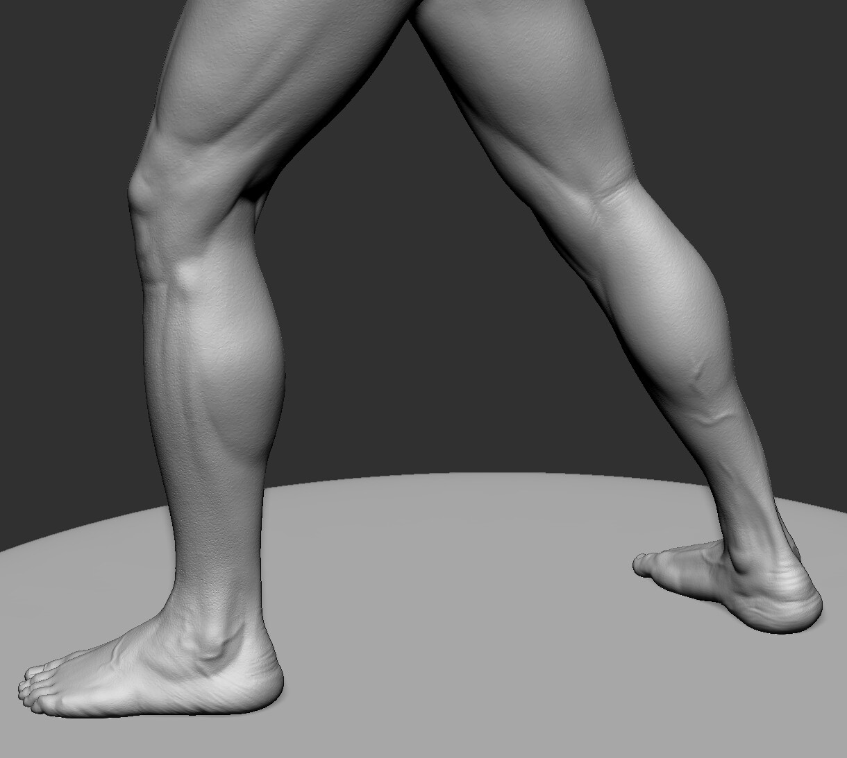 ArtStation - Realistic anatomy 3D print ready | Resources