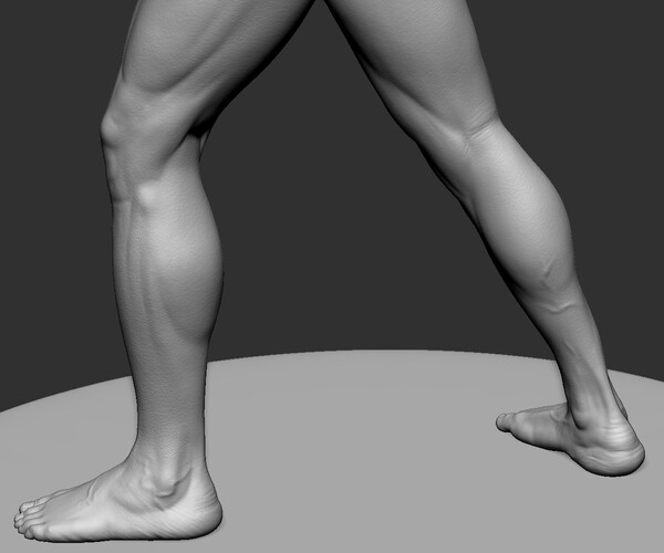 ArtStation - Realistic anatomy 3D print ready | Resources