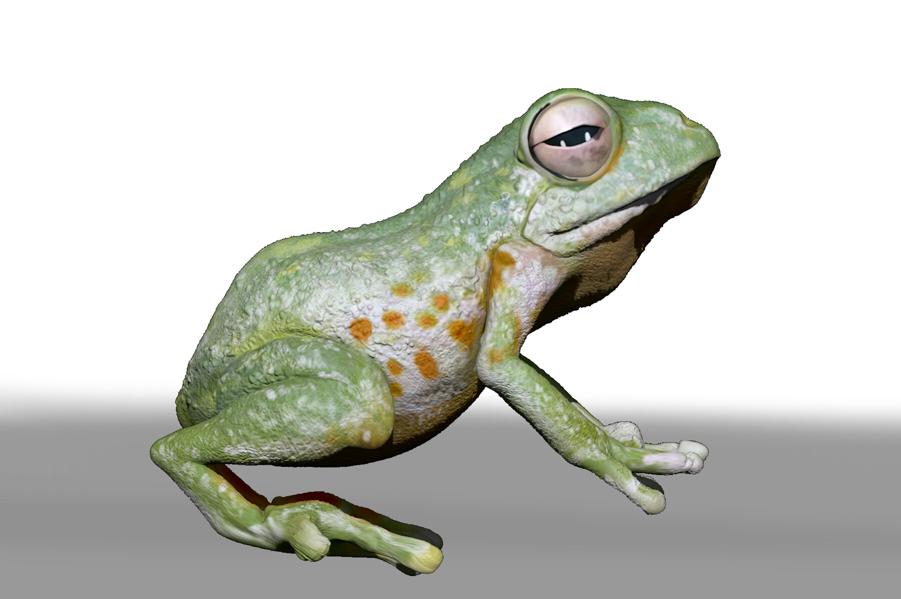 ArtStation - Frog Study ZTL Sculpt | Game Assets