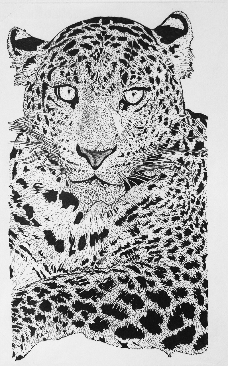 ArtStation - A Onça - Art Print | Artworks