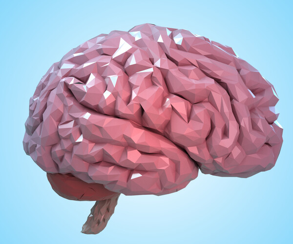 ArtStation - Brain Low-poly | Resources